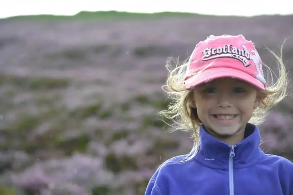 The big tease at Emma Bridgewater