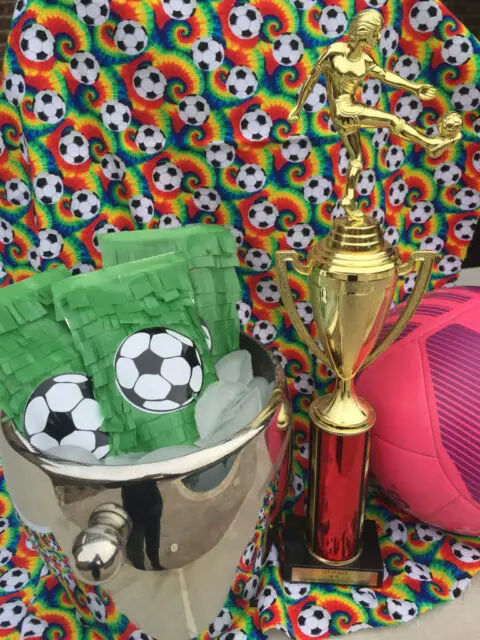 Soccer-styled organic juice drinks - Tried and True by Trista