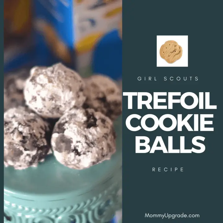 Girl Scout Trefoil Cookie Balls Recipe - Tried and True by Trista