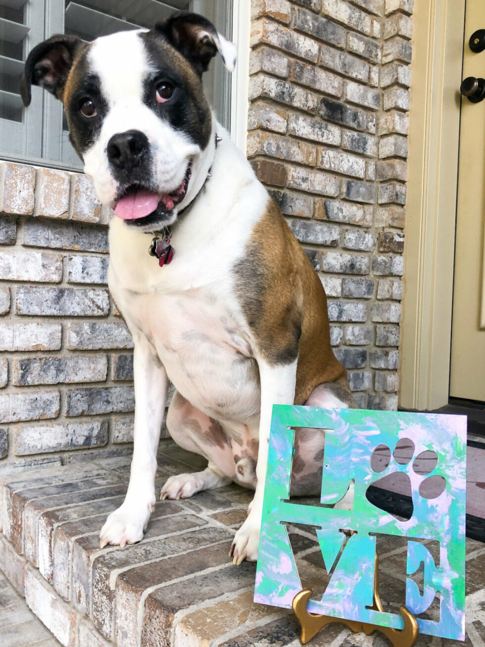 Artist Dog Challenge Tips - Tried and True by Trista