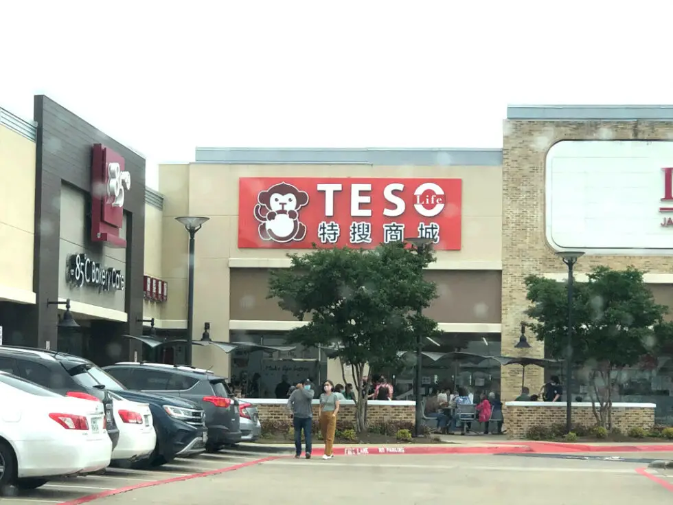 Teso Life Texas - Shopping and Unboxing! - Tried and True by Trista